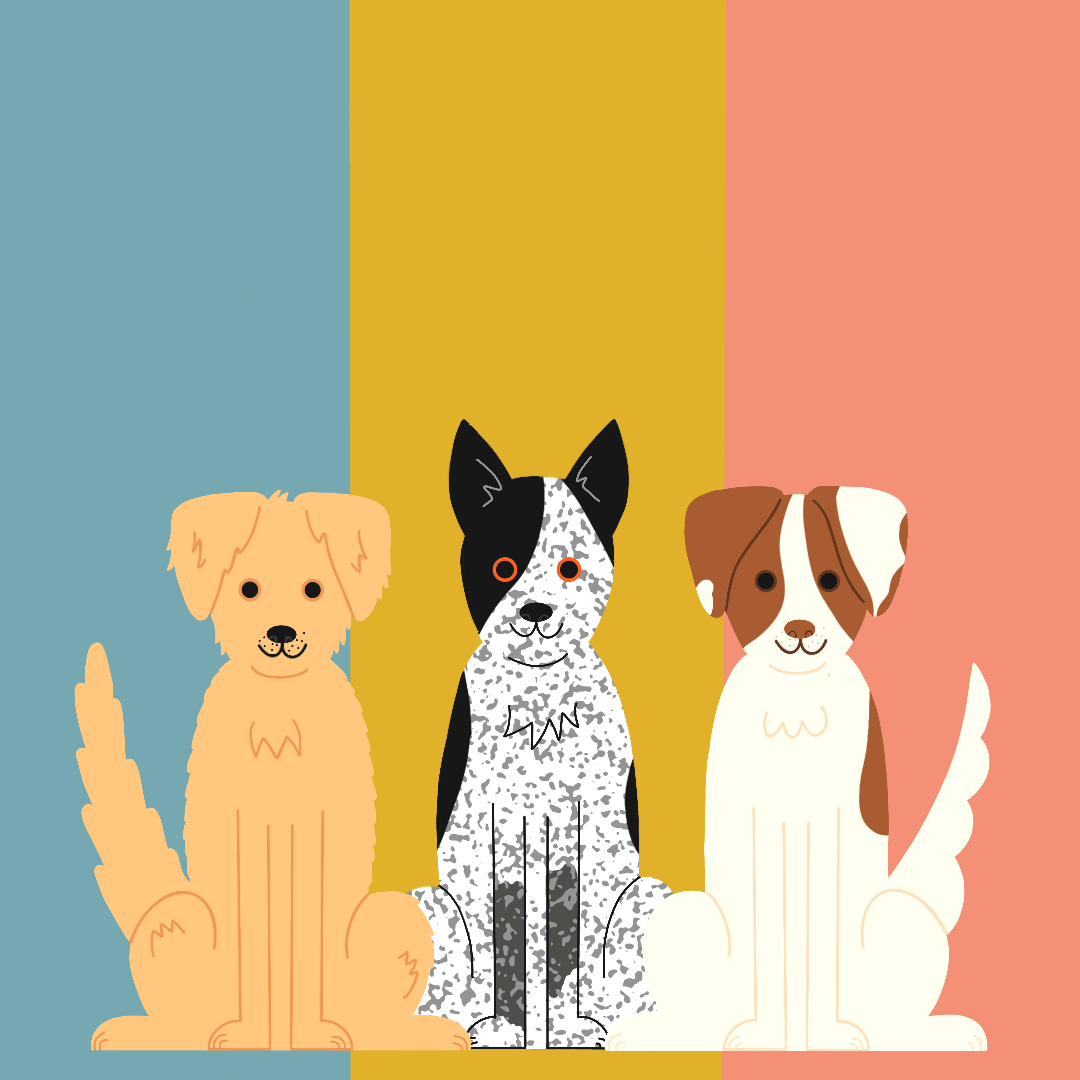 Fetch Mart – Fetch Mart